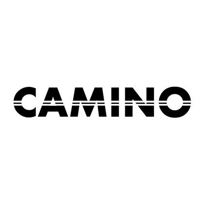 Camino's First Drillhole Intercepts near Surface 92.1m @ 0.52% Cu ...